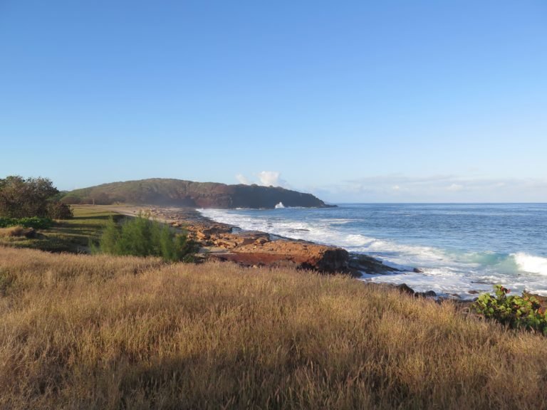 Molokai Rock Shelf Beach – ToadMama.com